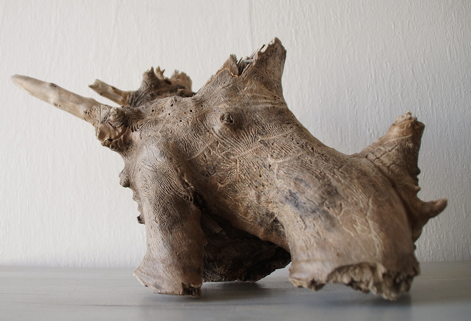 Monokeros - Au fil de l'eau - Bois flotté