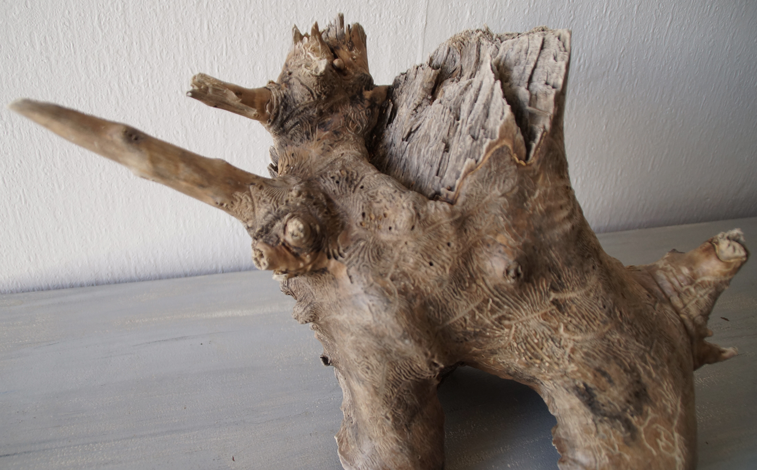 Monokeros - Au fil de l'eau - Bois flotté